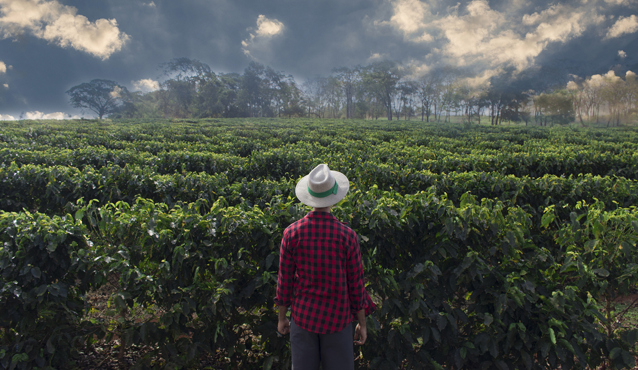 IoT and the Coffee Supply Chain | Digi International